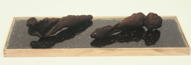 Events for Jul 2025 – Textile Museum of Canada