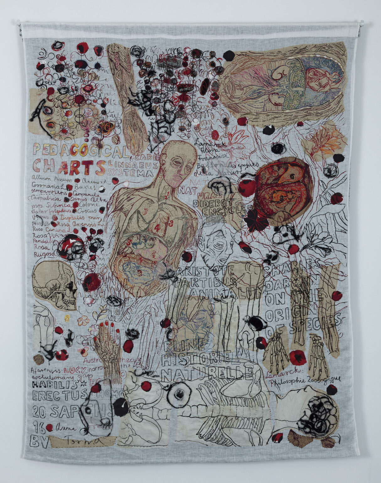 Anna Torma: Permanent Danger – Textile Museum of Canada