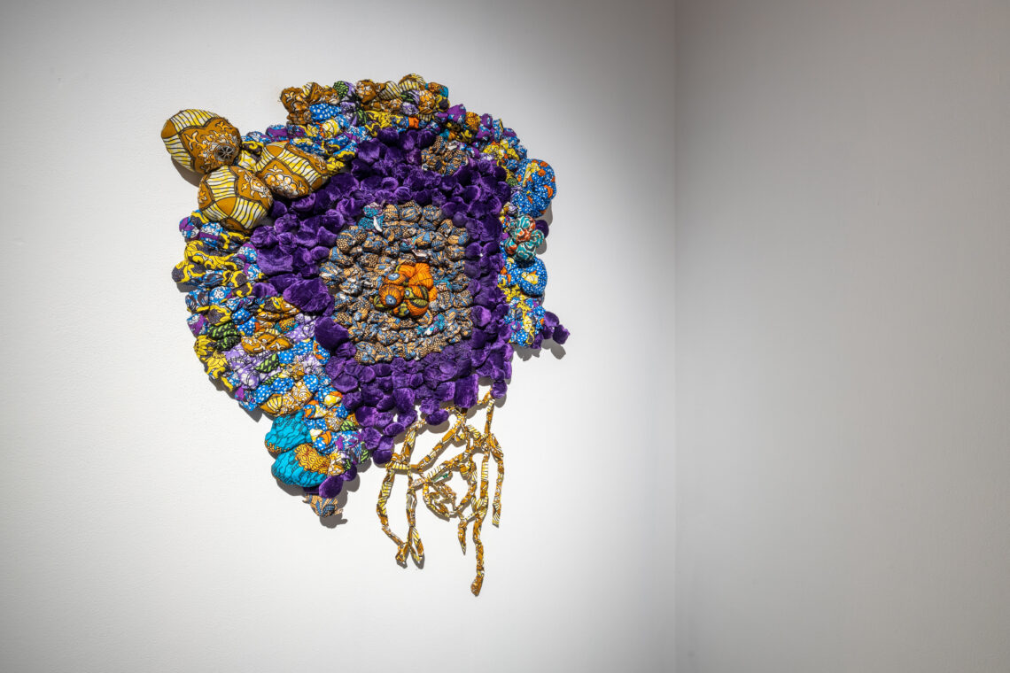 Eye of the Earth - Textile Museum of Canada